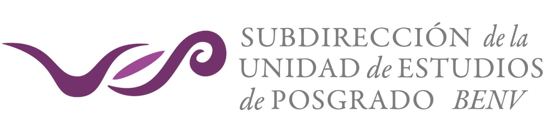 BENV - Subdirección de Estudios de Posgrado